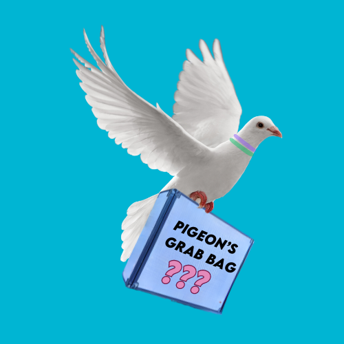 Pigeon's Grab Bag - FOR A SKATER | Pigeon's Roller Skate Shop