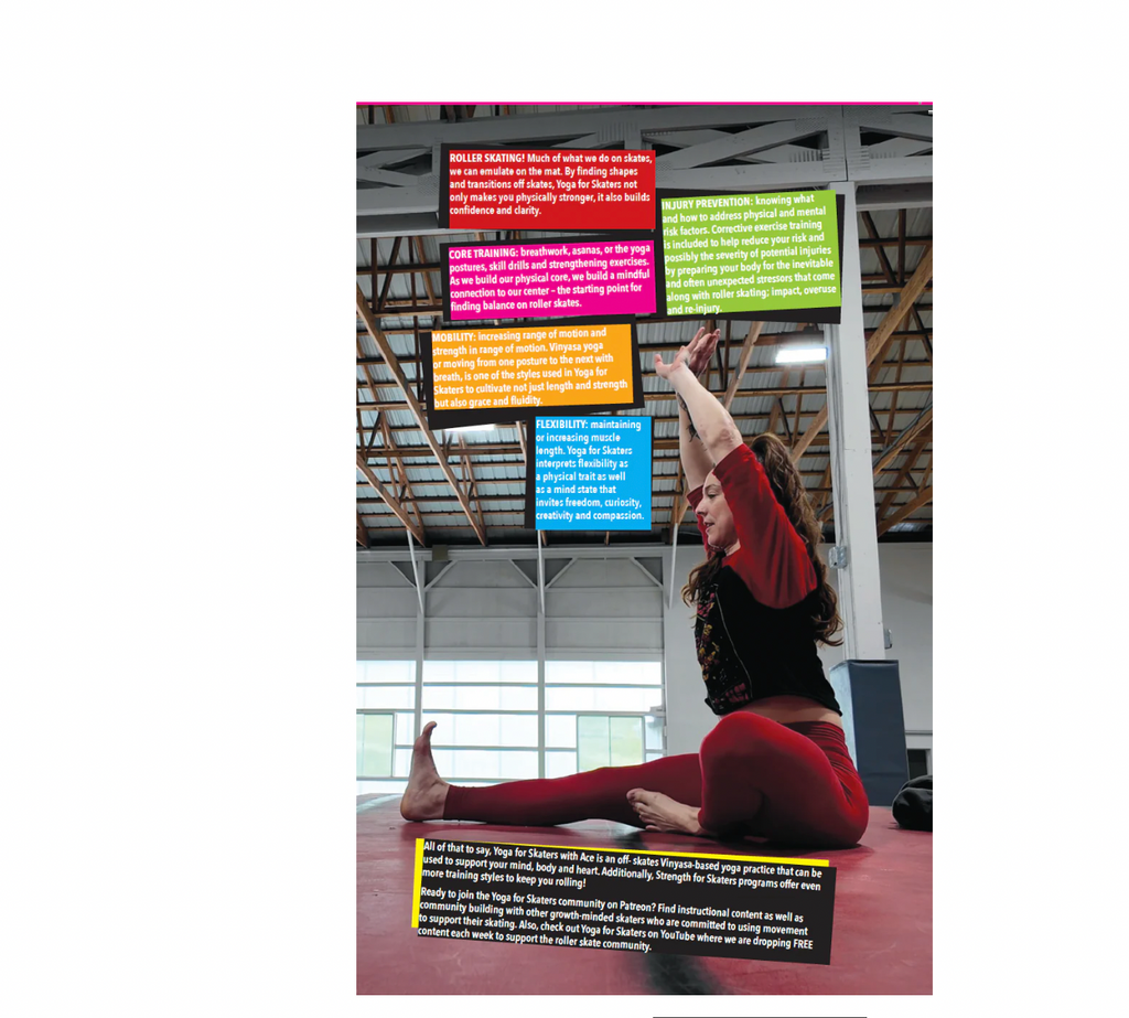 Roller Rag Magazine | Pigeon's Roller Skate Shop