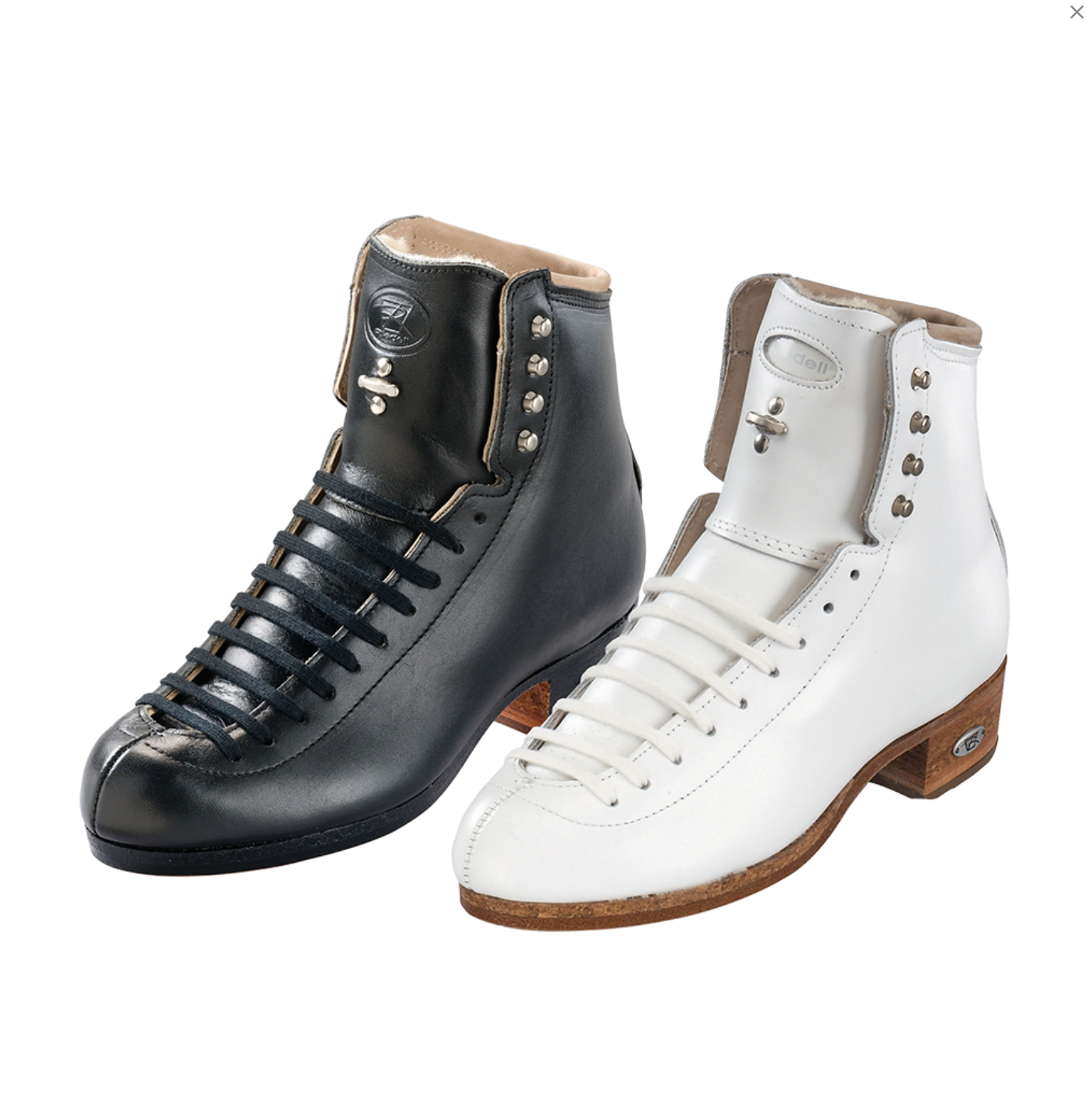 Custom Riedell 336 Skate Boots