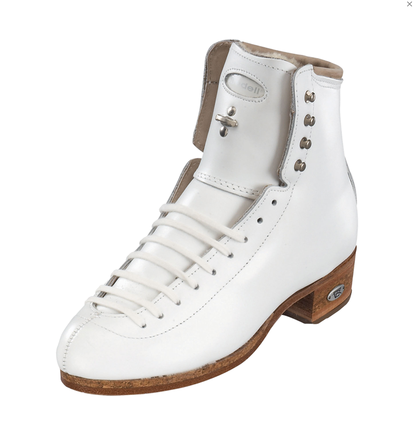 Custom Riedell 336 Skate Boots